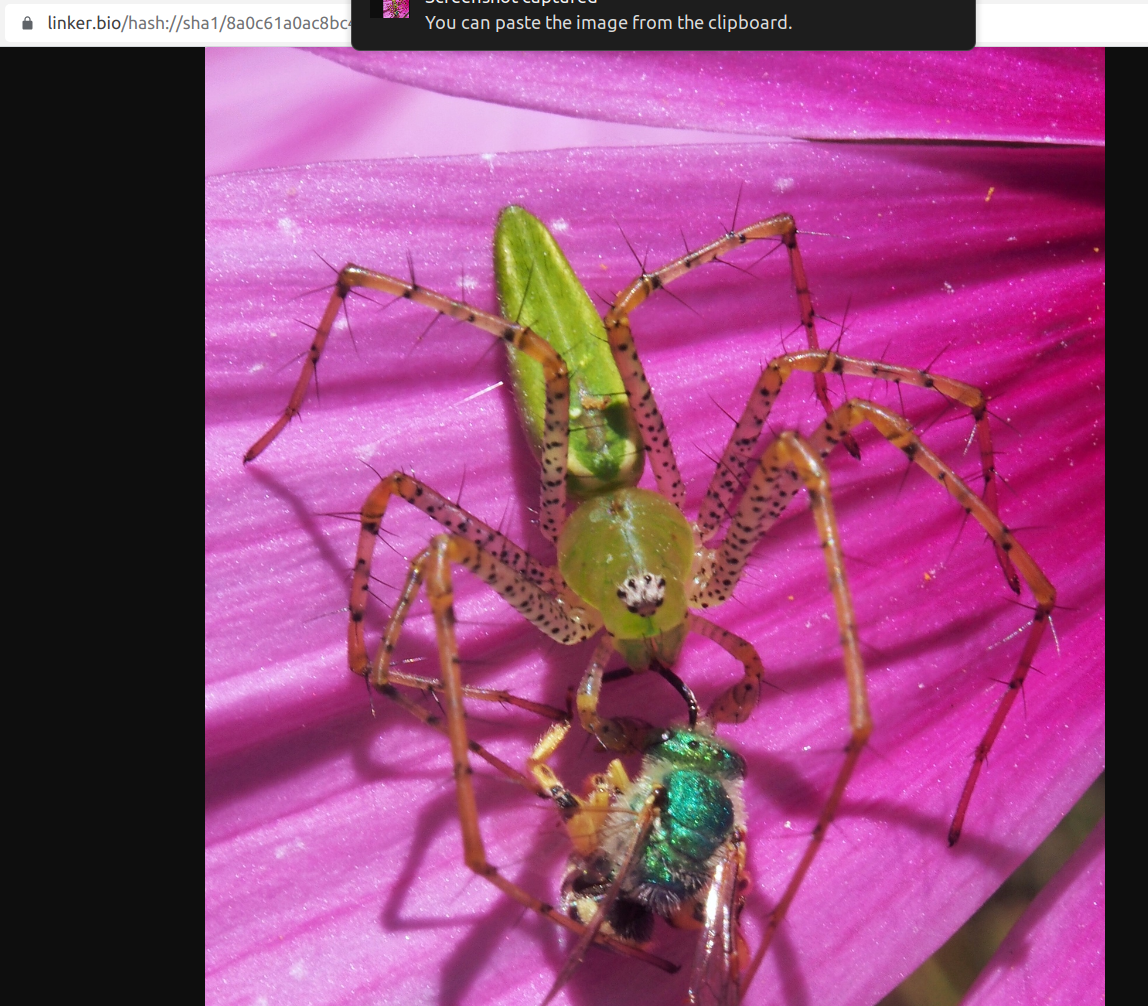 search wikicommons by sha1 · Issue #239 · bio-guoda/preston · GitHub