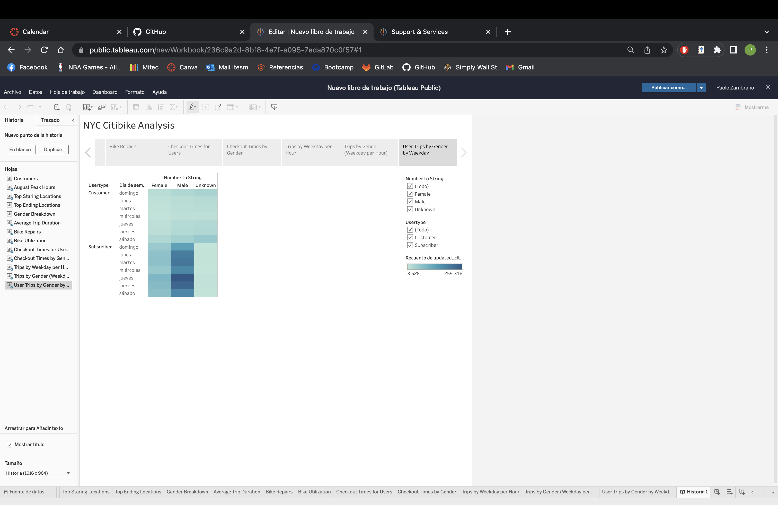 GitHub - Paolozam01/bikesharing