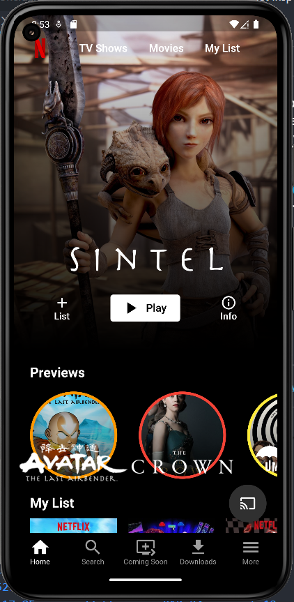 GitHub - PouyAium/Netflix-Inspiration-UI
