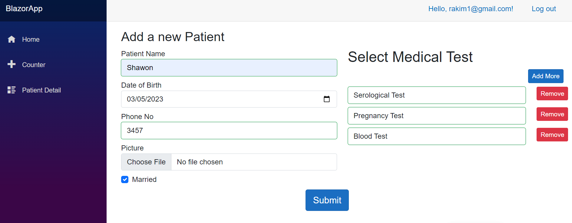GitHub - RakibulHasib/Hospital-Mangement-System