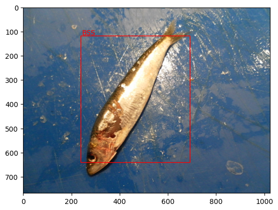 GitHub - ShengrenHuang/Faster-RCNN-Fish-Detection-PyTorch-