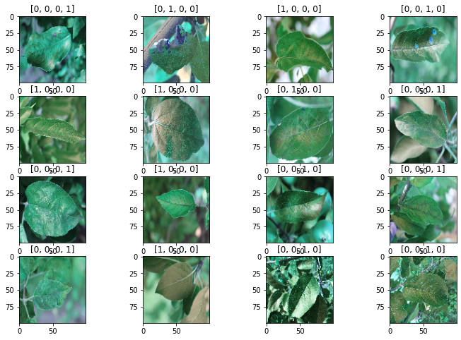 Github Kaledhoshme123 Classification Foliar Diseases In Apple Trees