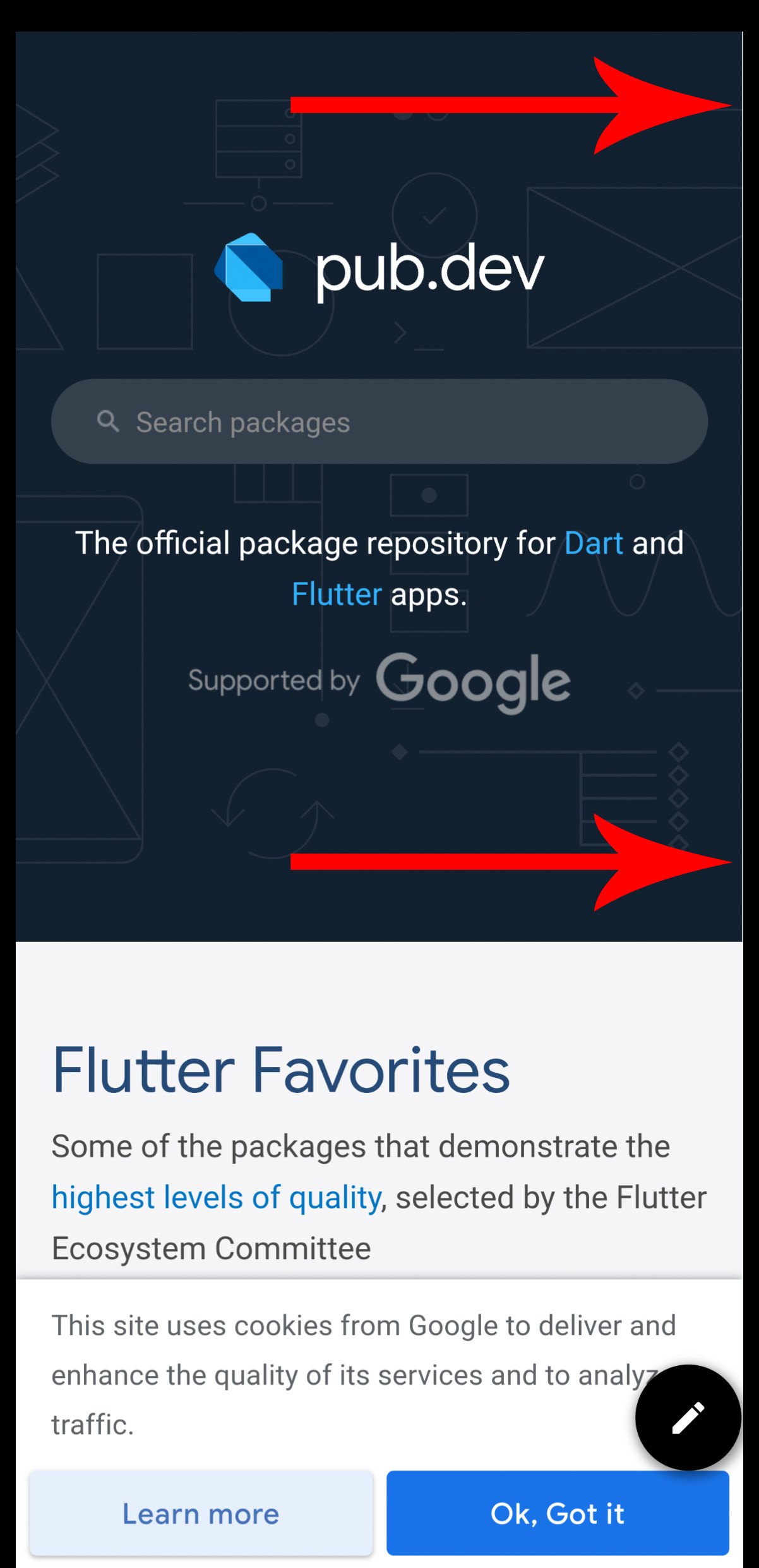 Webview_flutter has a white border on the right side of the view · Issue #125126 · flutter ...