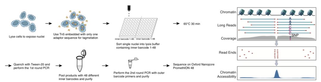 【周刊】第 49 期 · Issue #1094 · openbiox/weekly · GitHub