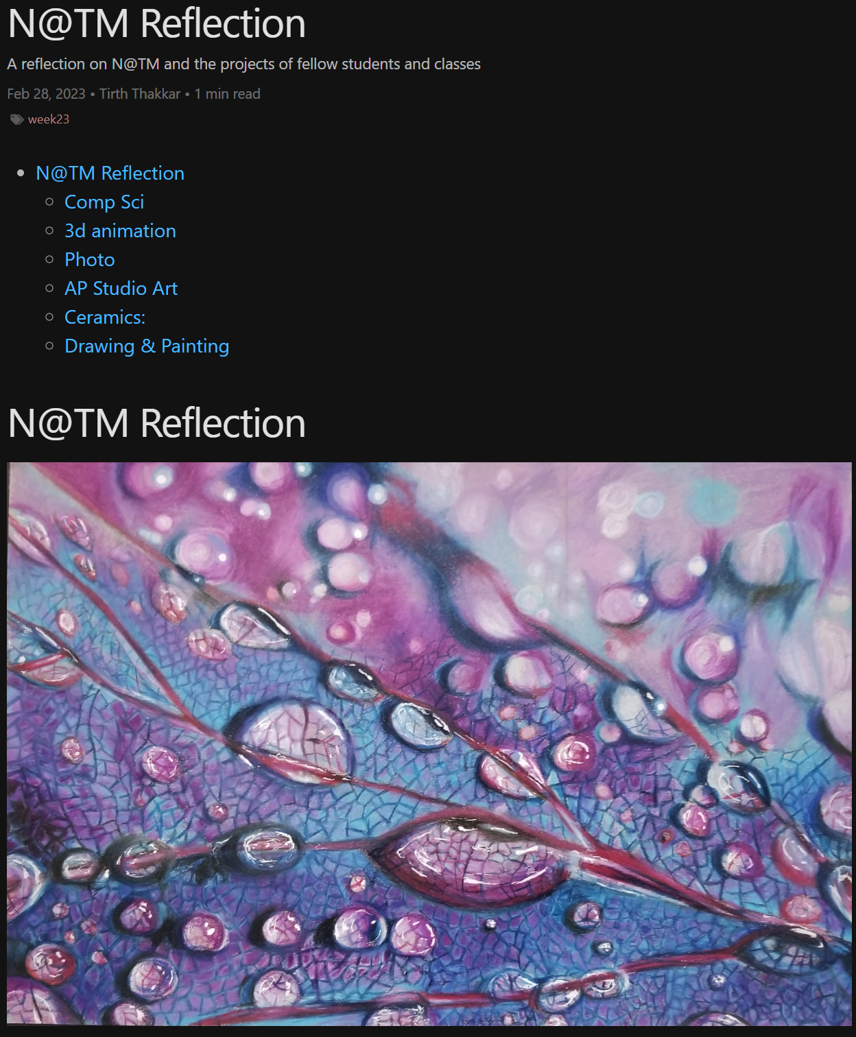 Final Ticket · Issue 21 · Tirth Thakkarapcsp Blog · Github 