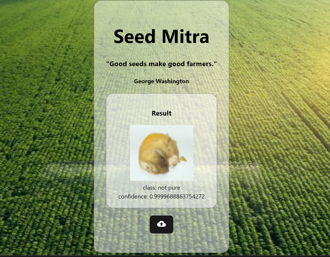 GitHub - 2802A/Seed-Grading: A web app for seed grading incorporated with deep learning with bio ...