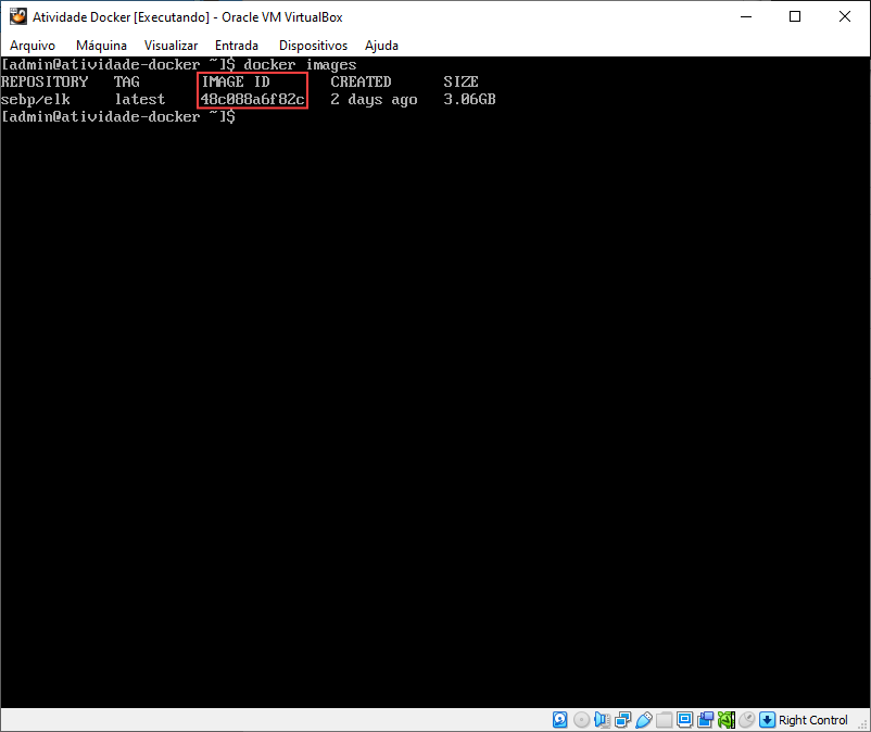 GitHub - Ryan-Amaro/Atividade-Docker