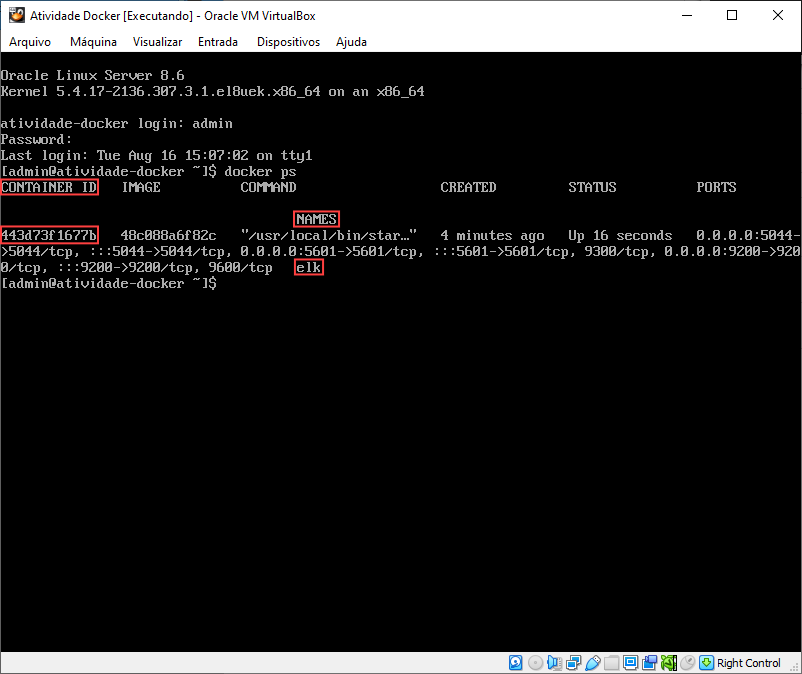 GitHub - Ryan-Amaro/Atividade-Docker
