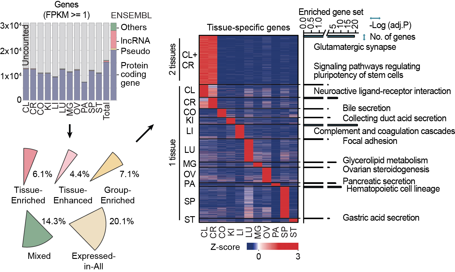 GitHub - snu-cdrc/dog-reference-epigenome