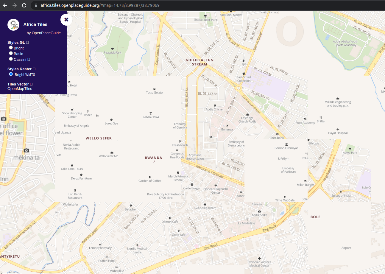 Randomly Empty Raster Tiles · Issue #67 · makina-maps/makina-maps · GitHub