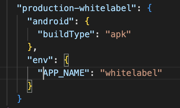 incorrect Constants.expoConfig in android · Issue #21097 · expo/expo · GitHub