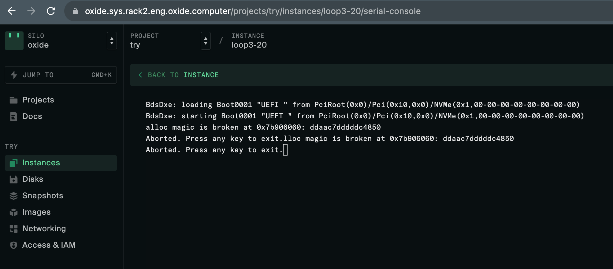 Guest Booting Failed Alloc Magic Broken · Issue 535 · Oxidecomputer 