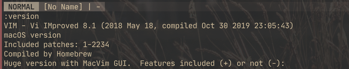 Opening File Using E Or T Shortcut In Vim Is Not Displayed Properly · Issue 113 · Weirongxucoc 0467