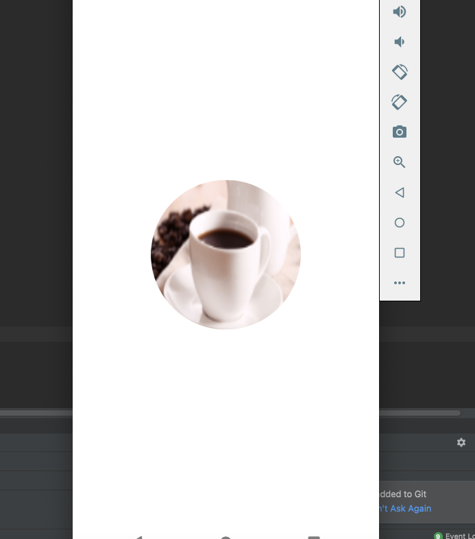 android 12 image appears blurred · Issue #425 · jonbhanson/flutter_native_splash · GitHub