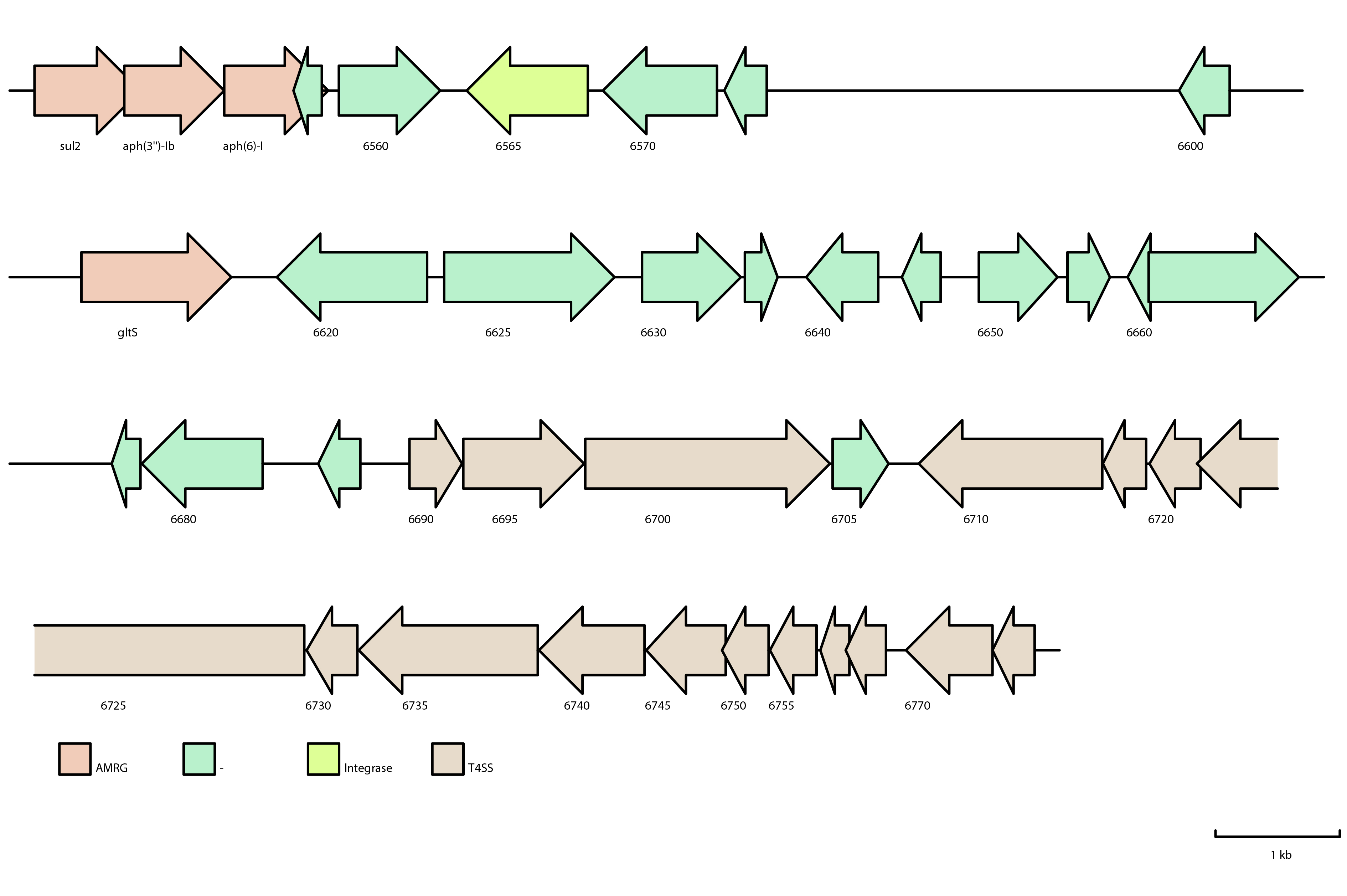 Github Guogenglingeneturtle A Python Script To Draw Gene Structure Map Using Turtle