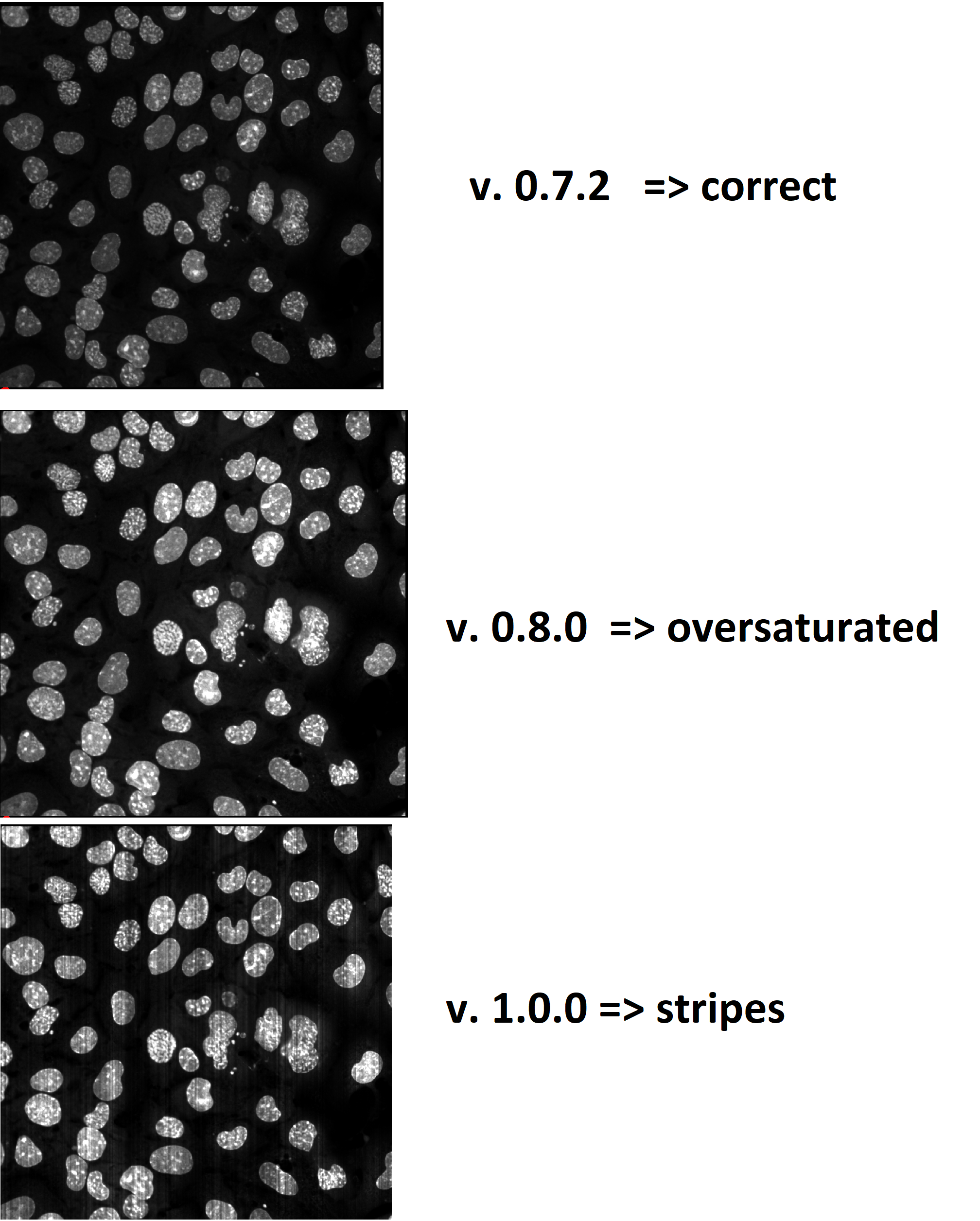 Image upload not working correctly · Issue #433 · MouseLand/cellpose · GitHub