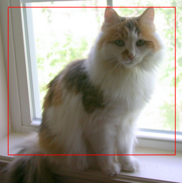 GitHub - qklent/yolov1: yolov1 implementation using pytorch