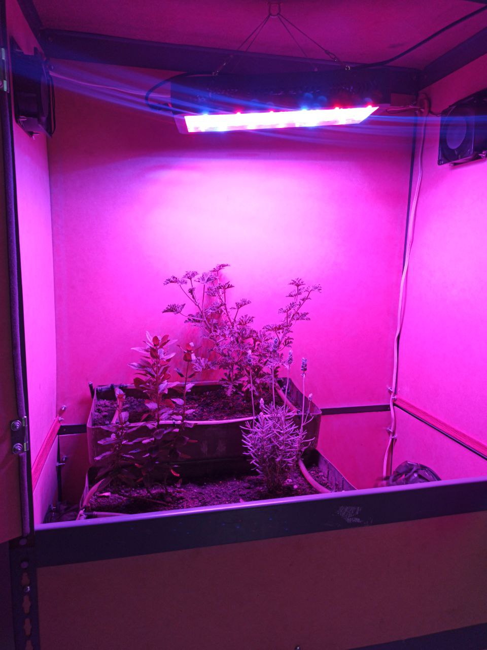 GitHub - LegaspiRicardo/smartGreenHouse-with-ARDUINO: Controlled with ...