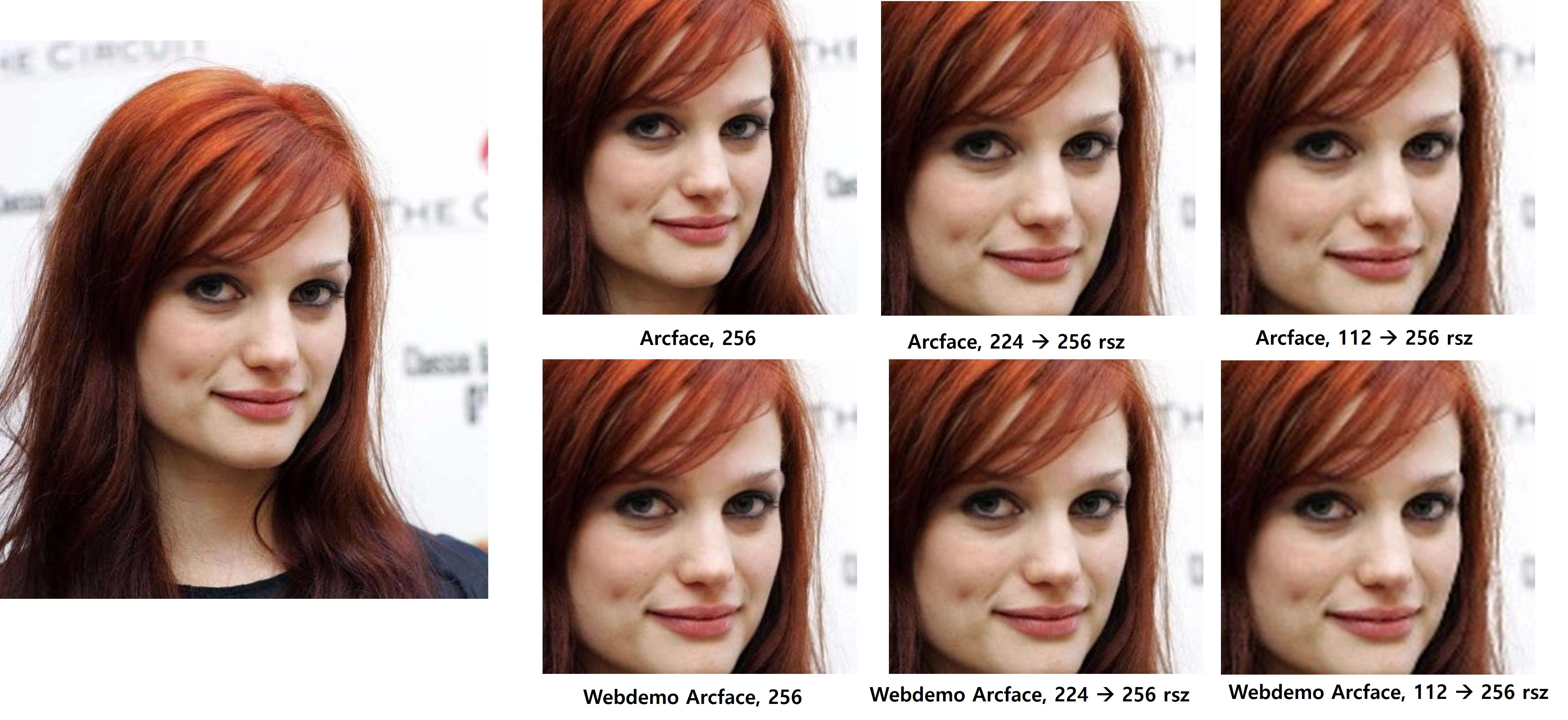 Different Implementations Of Face Align Py Mode Arcface Results In Different Results · Issue