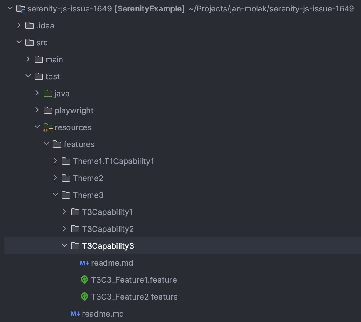 Latest Serenity Bdd Conflates Theme And Capability Level Narratives · Issue 3119 · Serenity