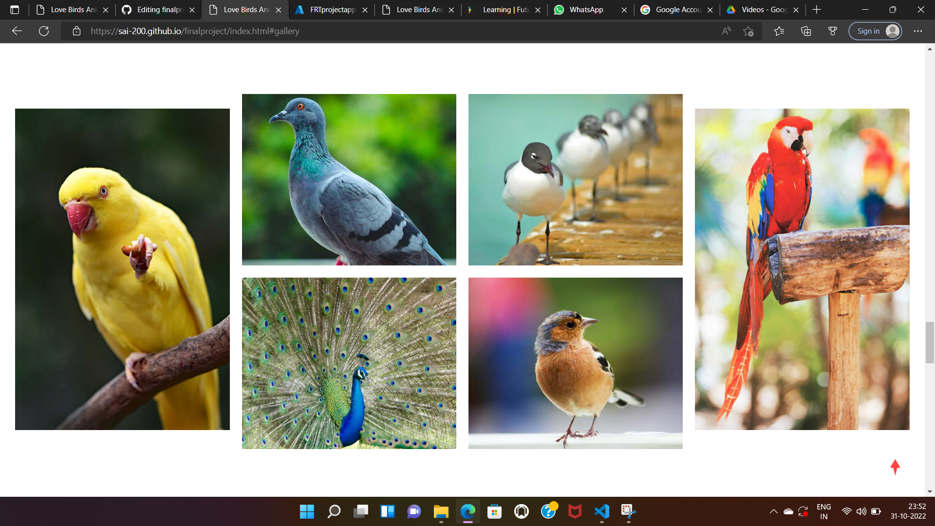 GitHub - Sai-200/finalproject: This is a website named as "LOVELY BIRDS" which contains ...