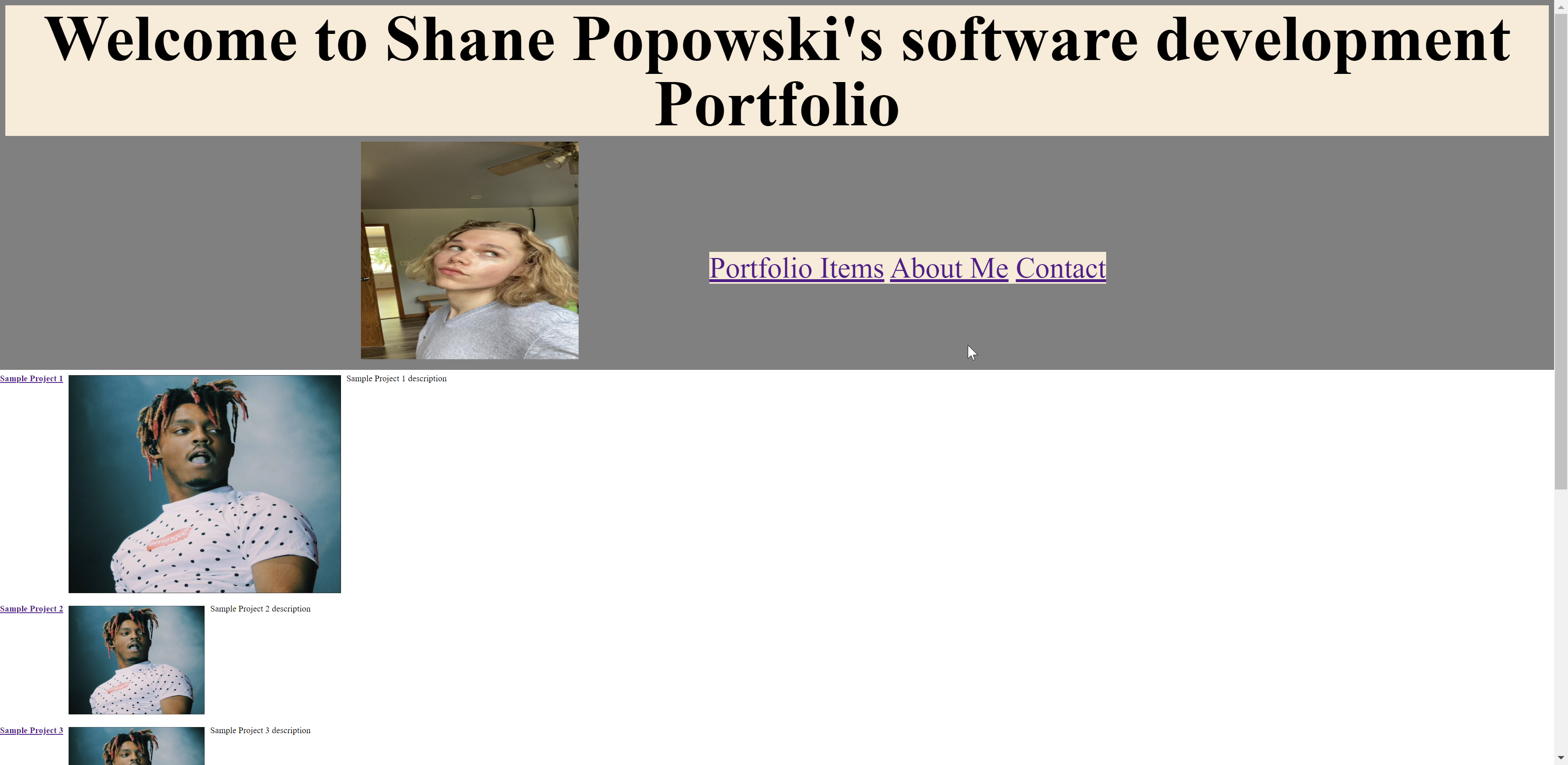 GitHub - Popowski1/Portfolio: My project portfolio