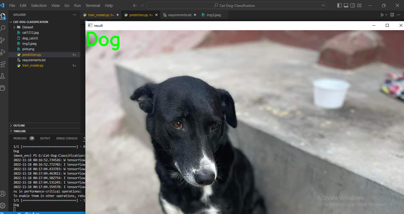 GitHub - n33-raj/Dog-Cat-Classification