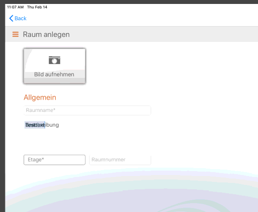 iOS: Placeholder does not disappear when entering text in Editor inside ScrollView · Issue #5253 ...