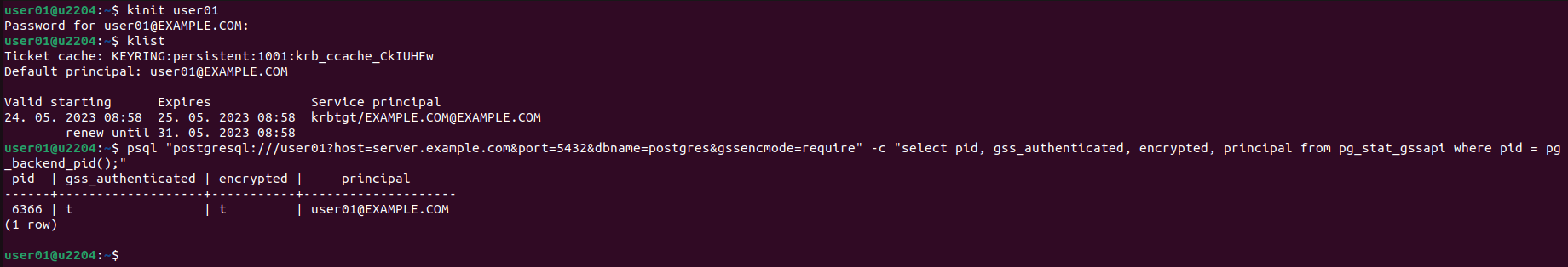 PostgreSQL using kinit with Kerberos returns error "Unable to obtain password from user" · Issue ...