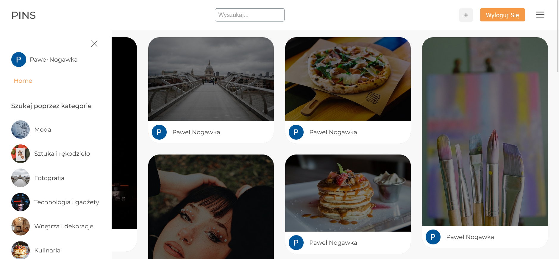 GitHub - PawelNogawka/pins-app