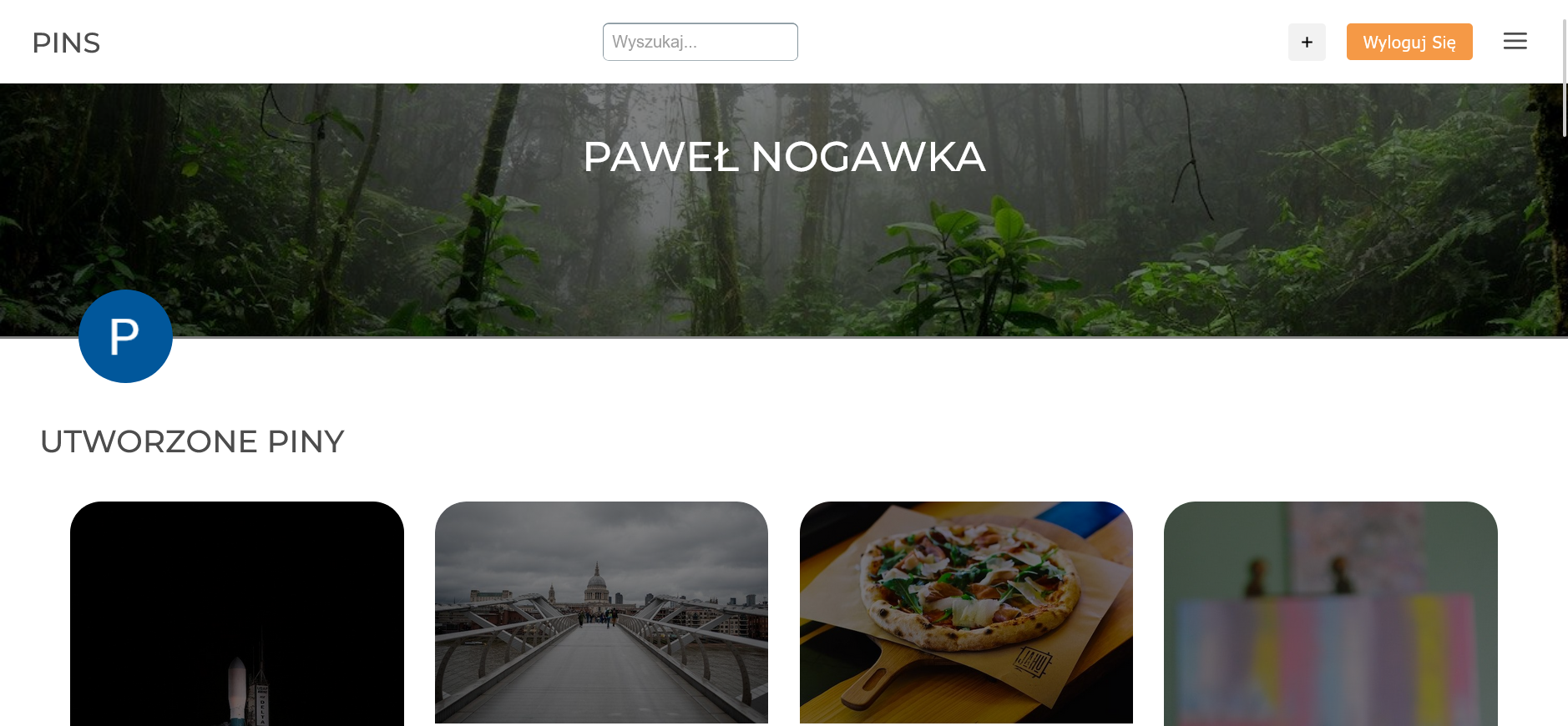 GitHub - PawelNogawka/pins-app