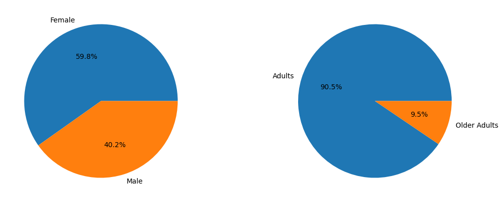 GitHub - putualvin/customer-shopping-data-analysis