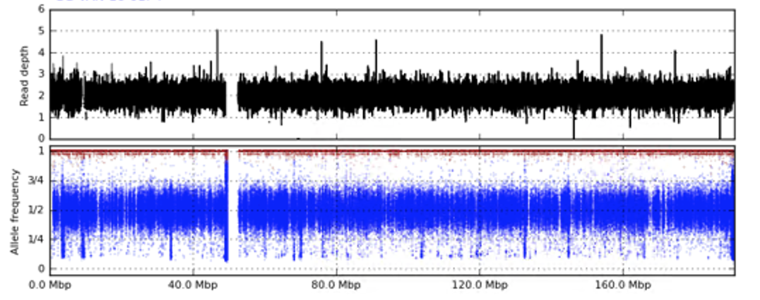 snp plot · Issue #122 · abyzovlab/CNVpytor · GitHub