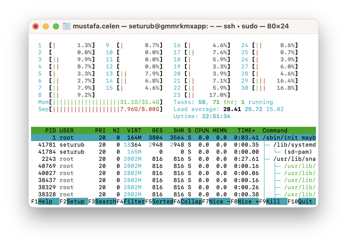 High RAM Usage · Issue #695 · facebookexperimental/Robyn · GitHub