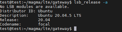 S1AP test failed at magma:cd $MAGMA_ROOT/lte/gateway && make run ...