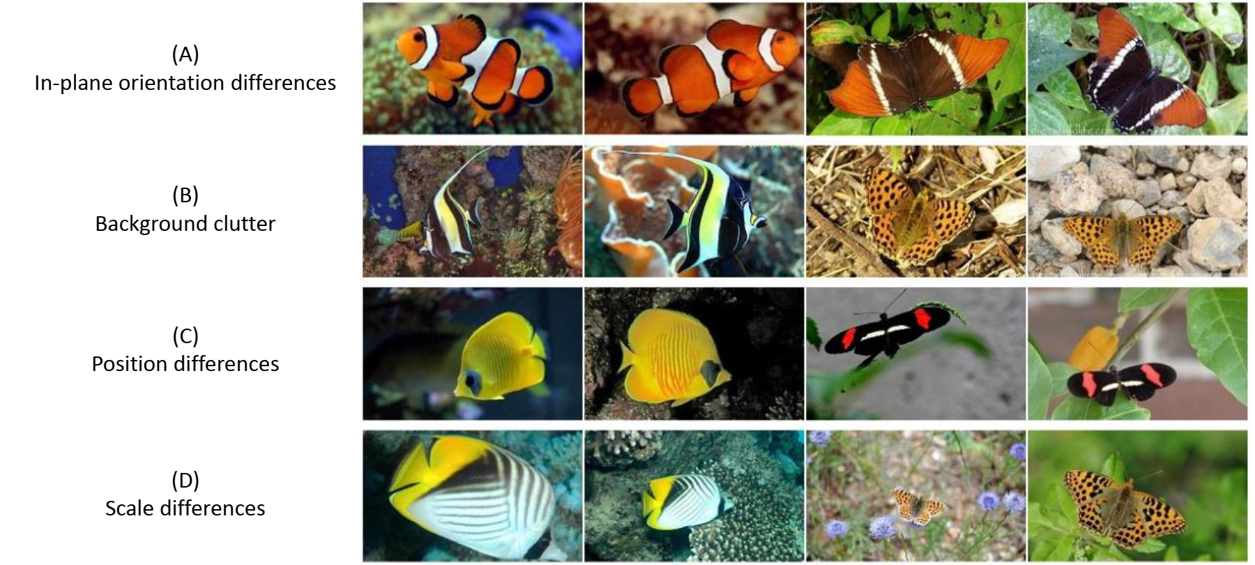 GitHub - hafeez-anwar/FGBR