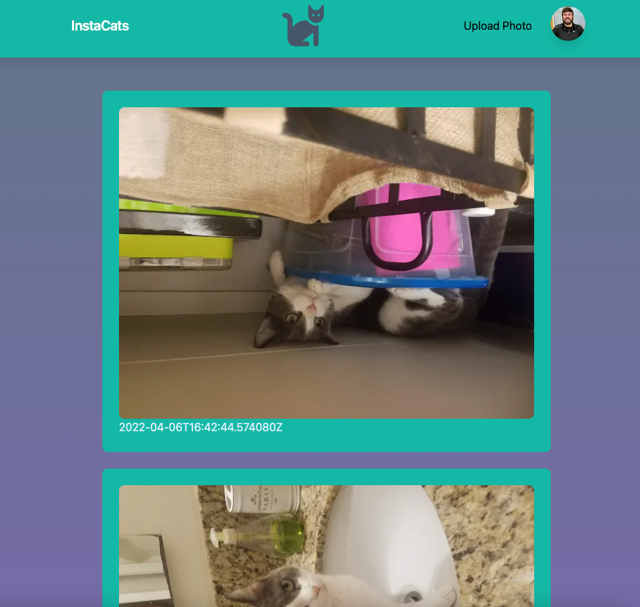 GitHub - tjphillips08/insta_nextjs