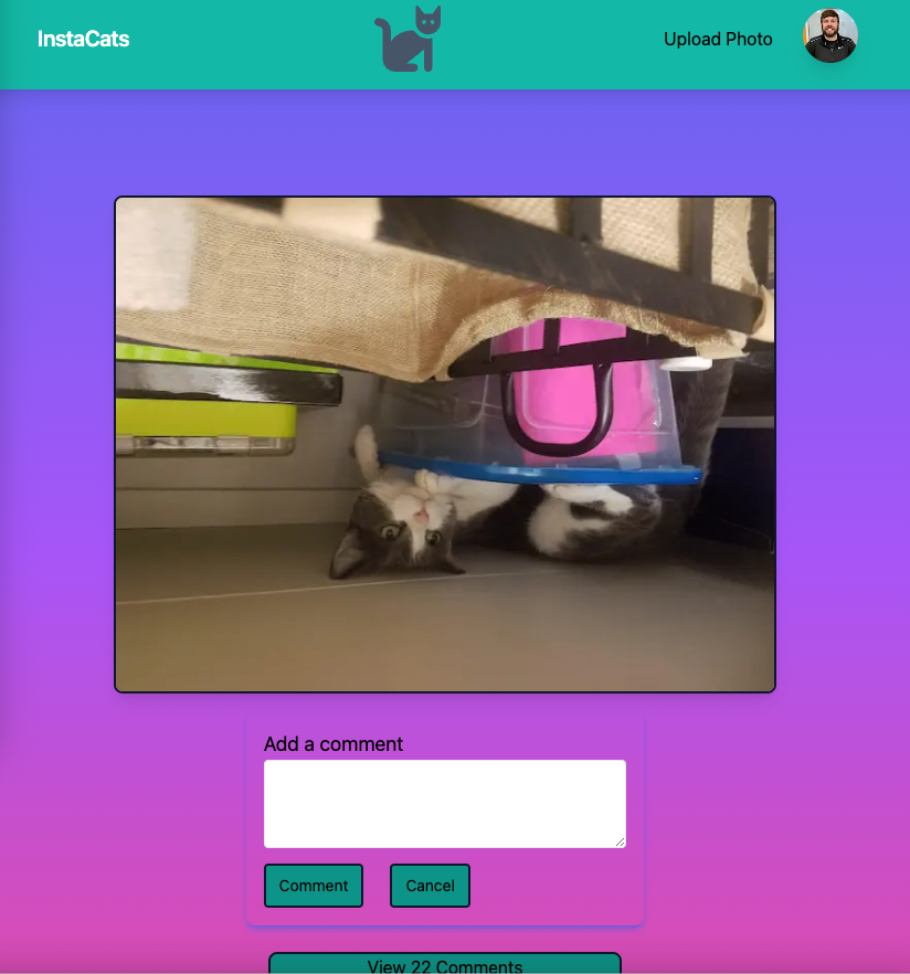 GitHub - tjphillips08/insta_nextjs