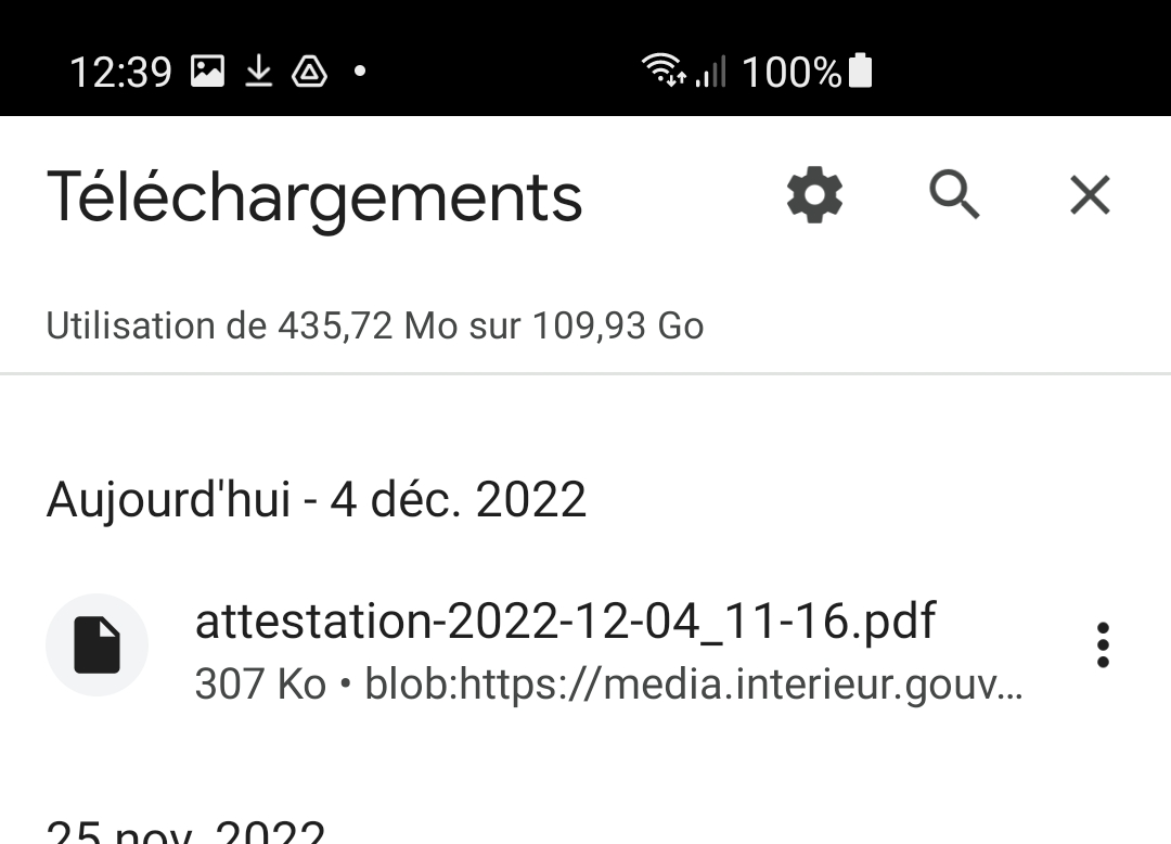 [bug] Bad File Name When Downloading A File From A Blob Url · Issue 2598 · Duckduckgo Android