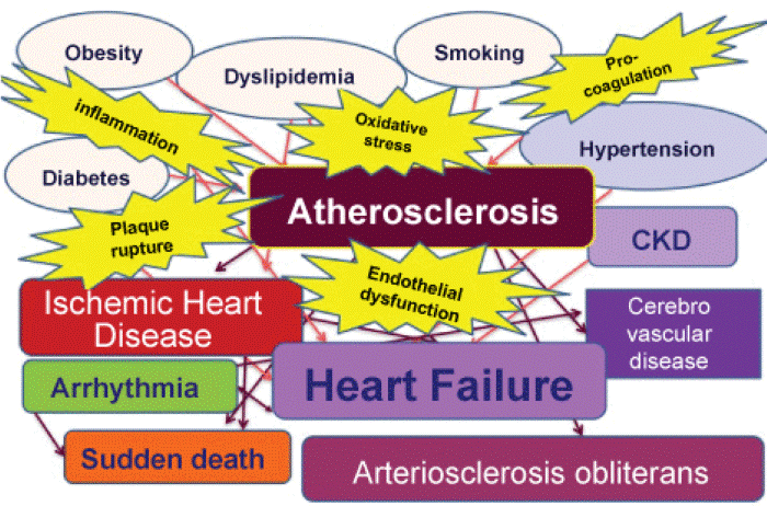 GitHub - Manoj-Korukonda/Cardiovascular-Risk-Prediction