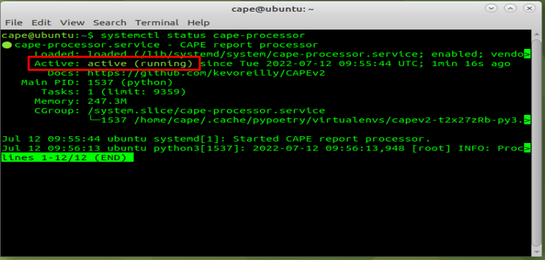 Task complete but still Processing result not showing · Issue #999 · kevoreilly/CAPEv2 · GitHub