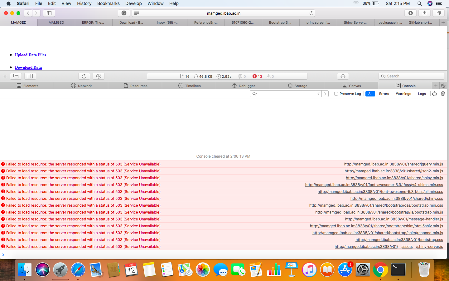 ReferenceError: Can't find variable: Shiny · Issue #2298 · rstudio/shiny · GitHub