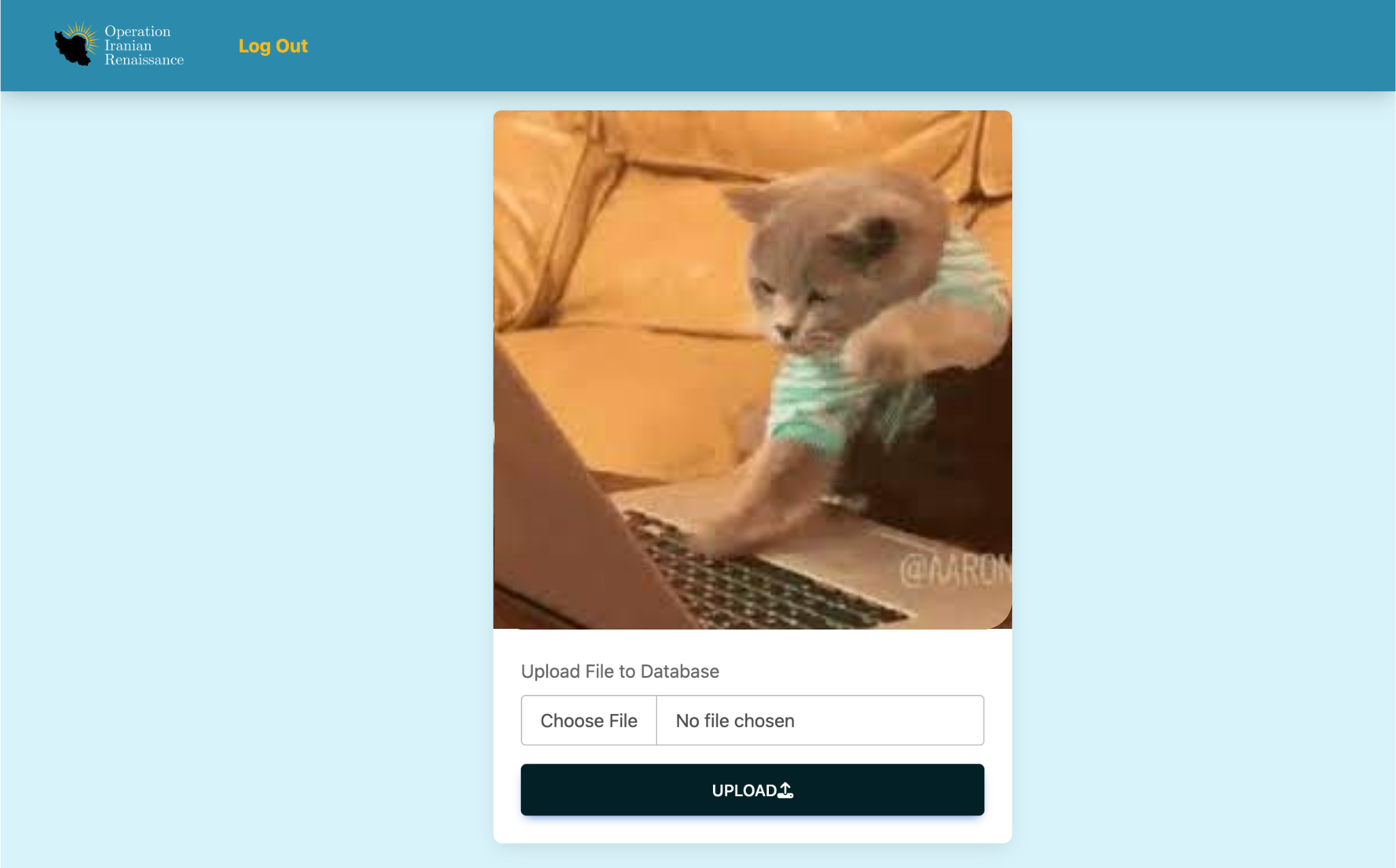 GitHub - susanna-mc/opirren