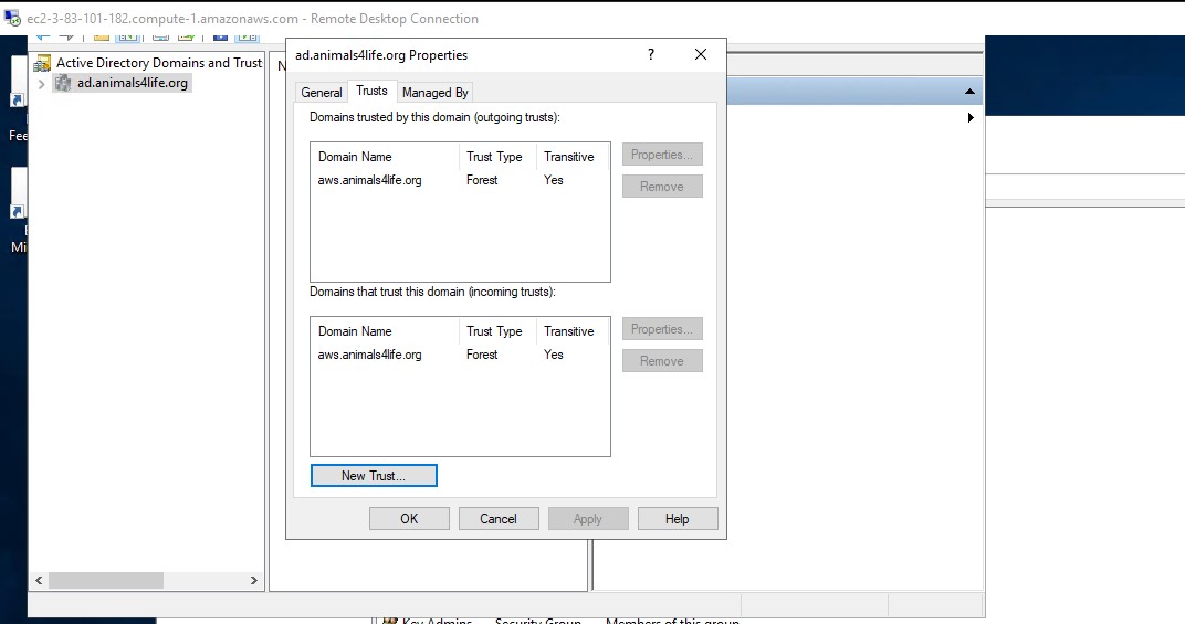 GitHub - CloudyBae/Hybrid_Active_Directory: 📁☁️Integration of on-prem environment to AWS with a ...