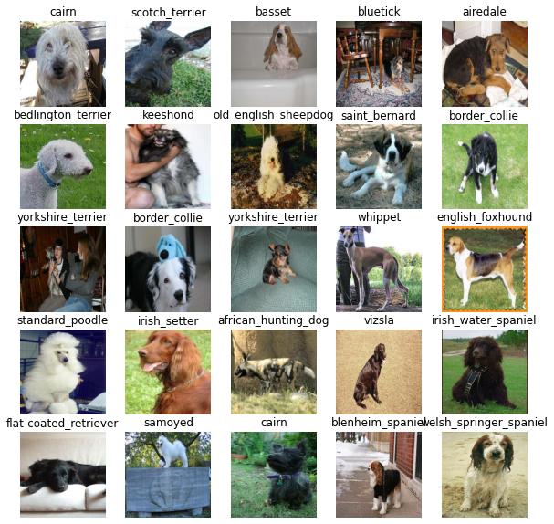 GitHub - LapoDini/Dog-Breed-Classification