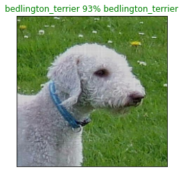 GitHub - LapoDini/Dog-Breed-Classification