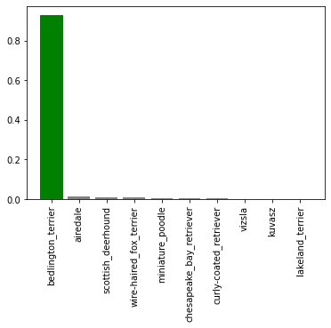 GitHub - LapoDini/Dog-Breed-Classification