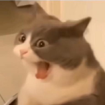 GitHub - KimNamKwang/holy_moly_final