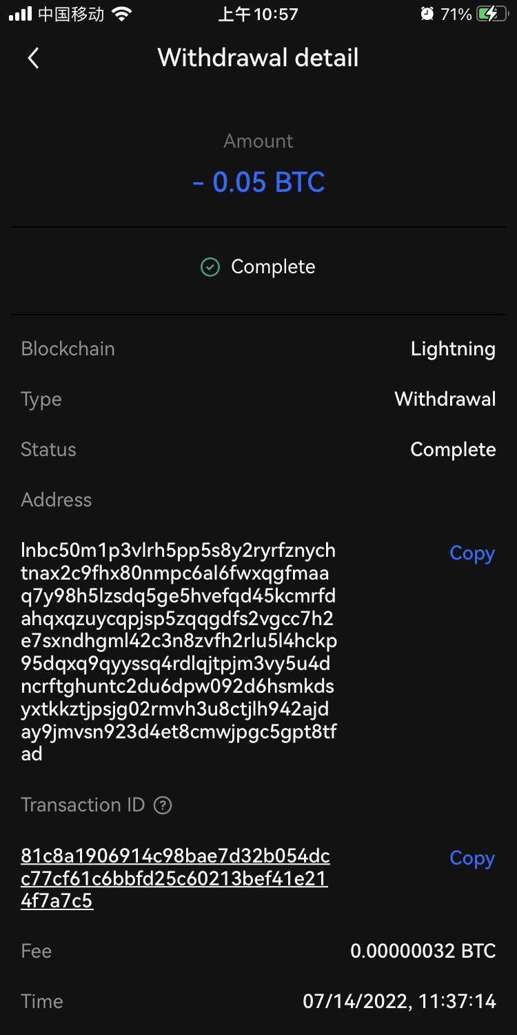 Failed to withdraw my sats from Exchange to LNbits Infinity · Issue #737 · lnbits/lnbits · GitHub
