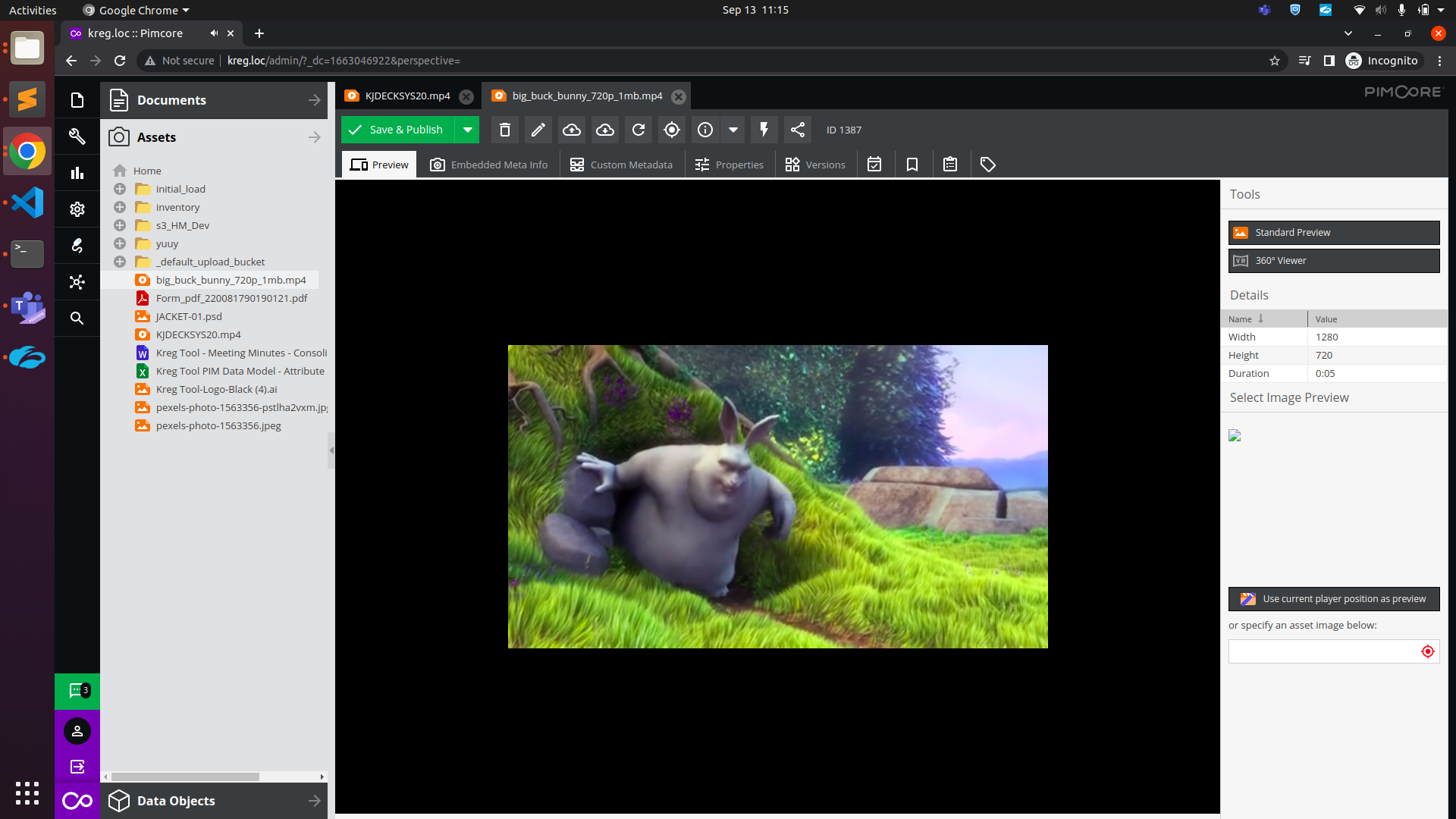 Bug Unable To Open Uploaded Video On First Time · Issue 13137 · Pimcorepimcore · Github